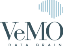 VeMo Brain Data